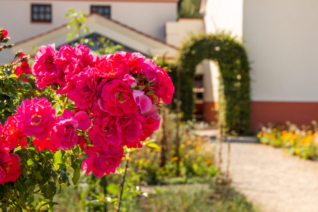 VILLA BORG – Archäologiepark | Römische Villa Borg